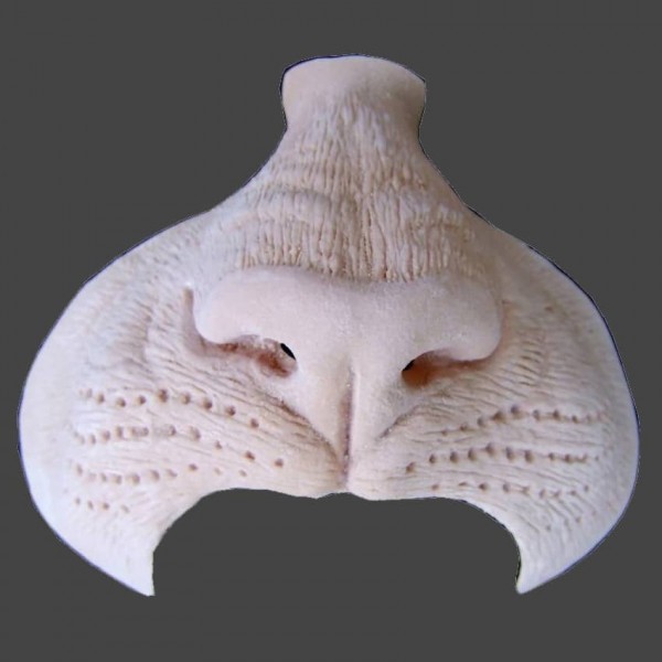 Morbid Mask Studios | Of Science & Swords